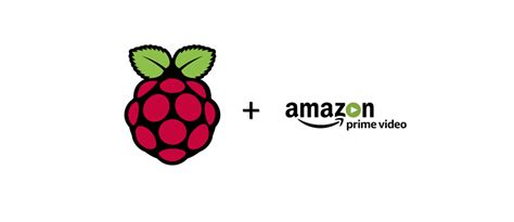 how to watch netflix amazon video and plex in osmc v18 raspberry pi
