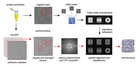 em platform creative biostructure
