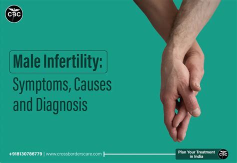 Male Infertility Symptoms Causes And Diagnosis