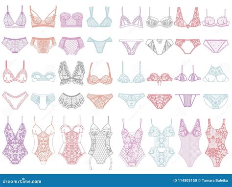 Collection Of Lingerie Panty And Bra Set Stock Vector Illustration
