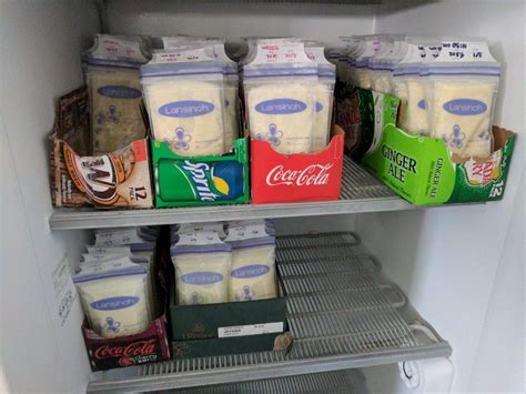 Top 10 Breastmilk Freezer Storage Ideas And Inspiration