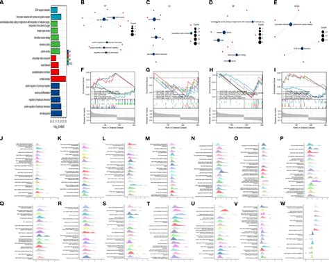 Frontiers Decreased Expression Of Scara5 Predicts A Poor Prognosis In