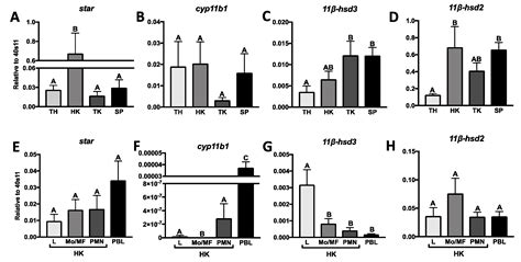 Cortisol Metabolism In Carp Macrophages A Role For Macrophage Derived