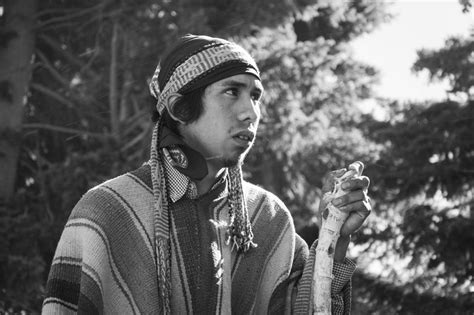 Nación Mapuche Los Frutos De La Doctrina Del Enemigo Interno Resumen