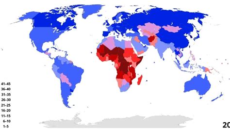 Population Of The World 2024 Adults Bill Marjie