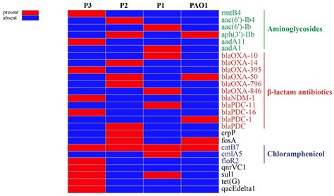 Pathogens Free Full Text Genome Analysis Of Pseudomonas Aeruginosa