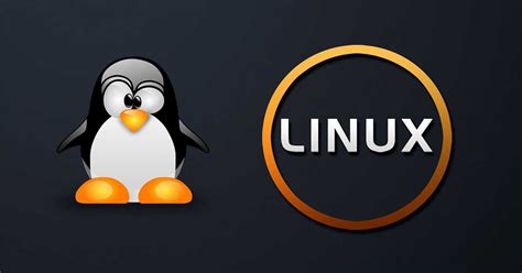 why do programmers prefer linux learn to code together
