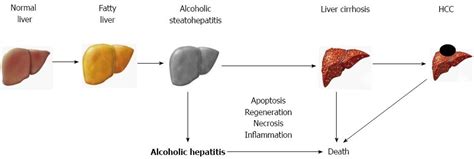 Liver Fibroscan Chart A Visual Reference Of Charts Chart Master