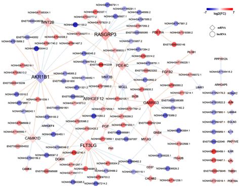 Expression Profiles Of Long Noncoding Rnas Associated With The Nsun2