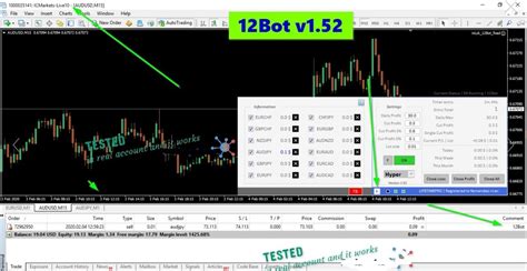 12bot v1 52 ea unlimited mt4 system metatrader 4 expert advisor forex