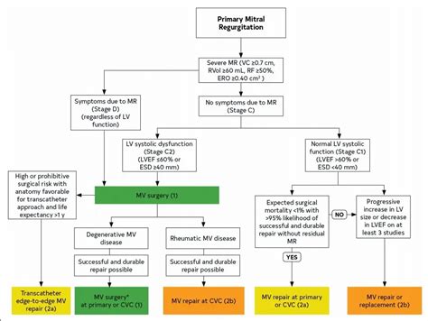 Mitral Regurgitation Cardio Guide