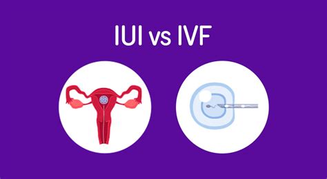 Iui Vs Ivf Whats The Difference Between Them