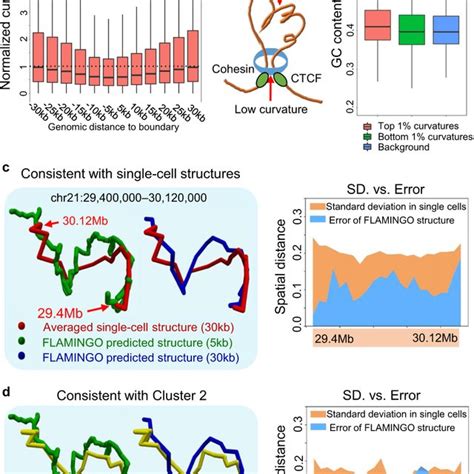 Flamingo Reconstructs High Resolution 3d Genome Structures From Hi C