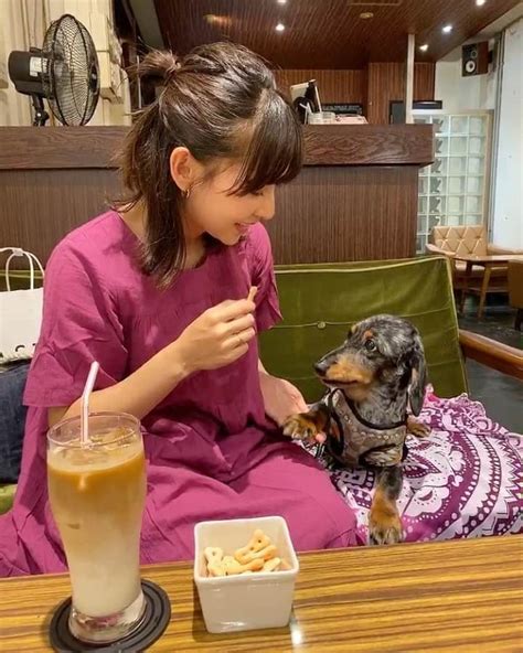 阪本智子さんのインスタグラム写真 阪本智子instagram 「🐶♡ ウォルトを全身2mmカットにしてみたら スムースダックス になり