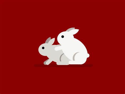 pair of bunnies