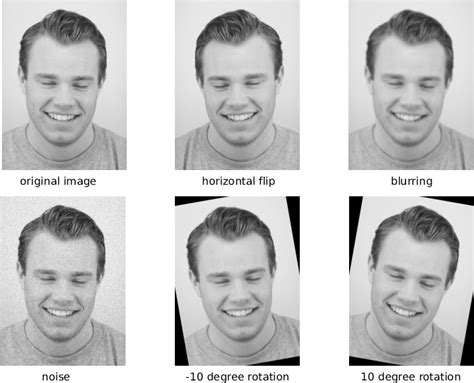 illustrating the different augmentation techniques which were used to