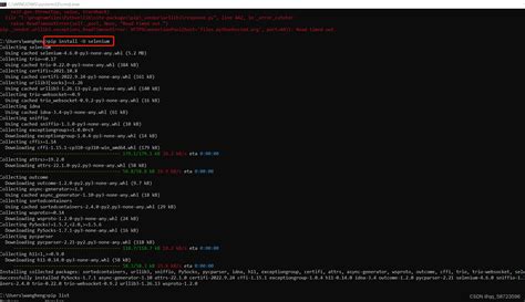 pip install selenium error exception traceback most recent call last