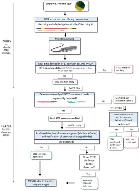 Suggested Protocol For Clinical Diagnostics Of Stec With Minion