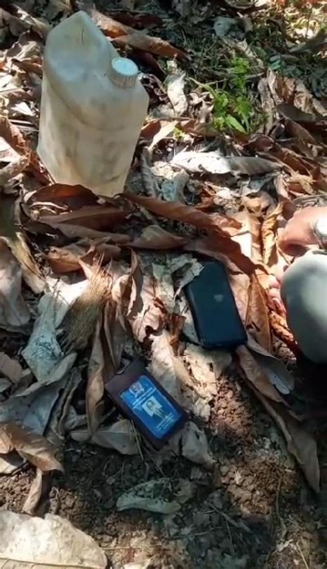 Soal Pembalakan Liar Kades Bandar Agung Lampung Timur Diduga Lakukan