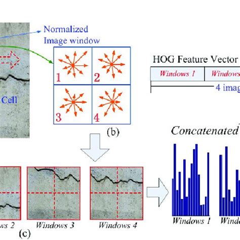 illustration of hog feature extraction a input image region b