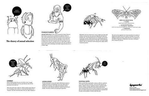 pin on darwin s concept of sex selection