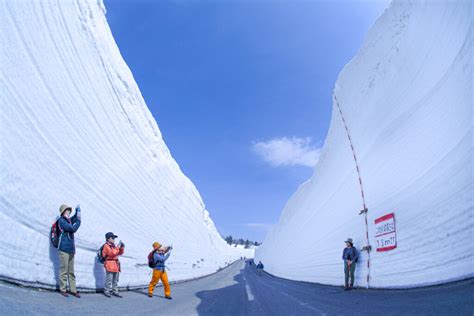 【青森自由行】青森冬季必看絕景 雪怪樹冰 雪之回廊 日本見japanmiru