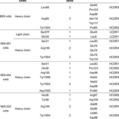 Hydrogen Bond Sites Of 9e8 Mab And Related Three Matured Variants