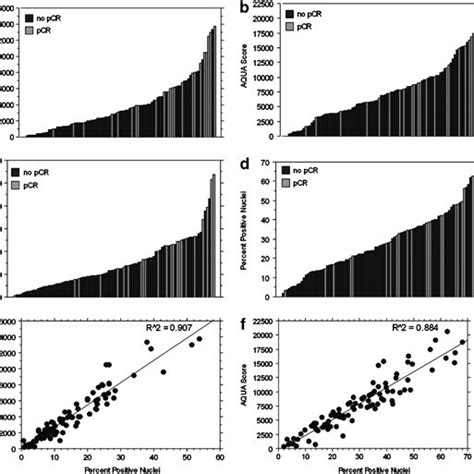 multivariate logistic regression analysis for using the maximum ki 67