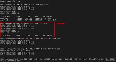 删除linux虚拟机中的 dev sdb磁盘步骤 删除sdb分区 csdn博客
