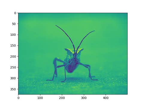 image tutorial — matplotlib 3 1 2 documentation