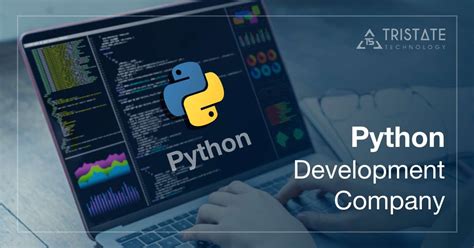 python development company hire dedicated python programmer