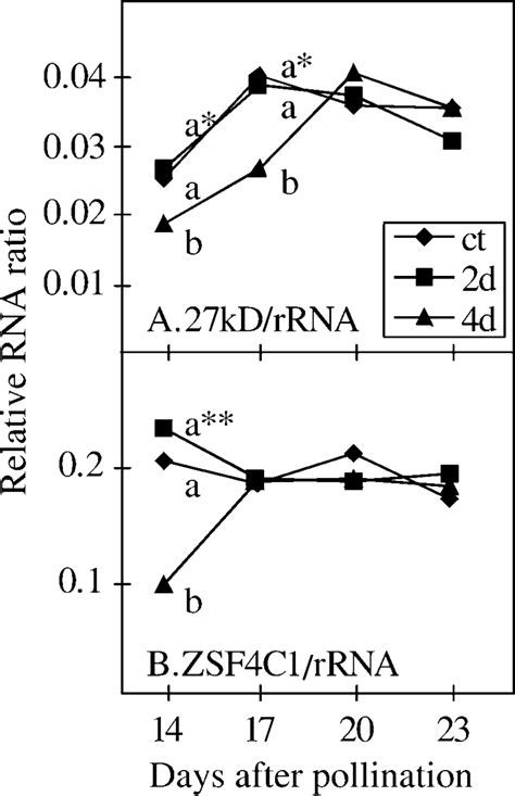 The 27 Kda And Zsf4c1 Zein Mrna Relative Steady State Levels In