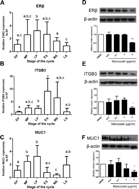 Expression Of Endometrial Receptivity Genes In Endometrial Tissues And