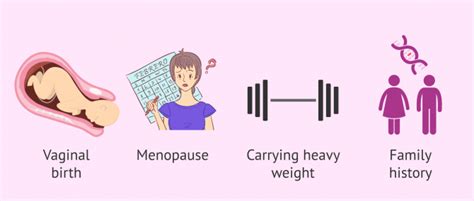 Causes Of Uterine Prolapse