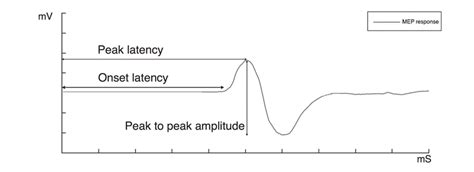 Motor Evoked Potential Response The Figure Is Modelled From One