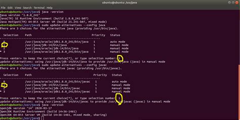 how to install openjdk 14 on ubuntu tutorials24x7