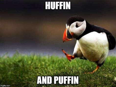 Unpopular Opinion Puffin Meme Imgflip