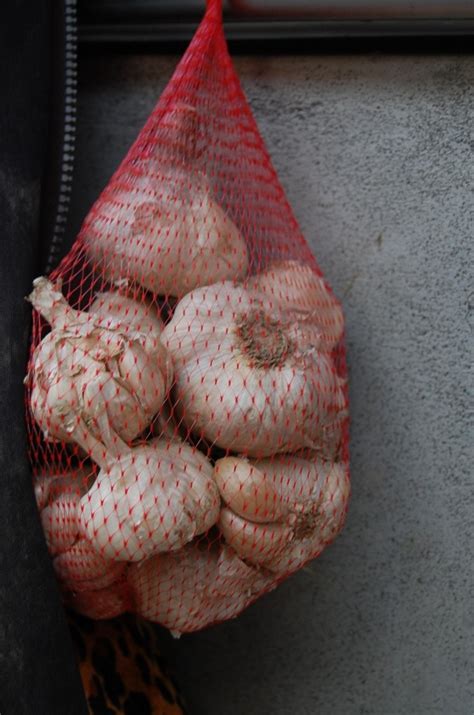 garlic and erectile dysfunction a natural ed remedy