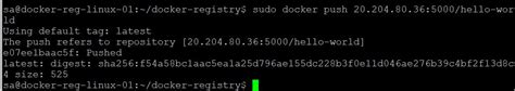 how to setup and host a private docker registry