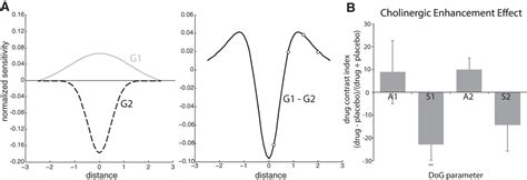 Cholinergic But Not Dopaminergic Or Noradrenergic Enhancement