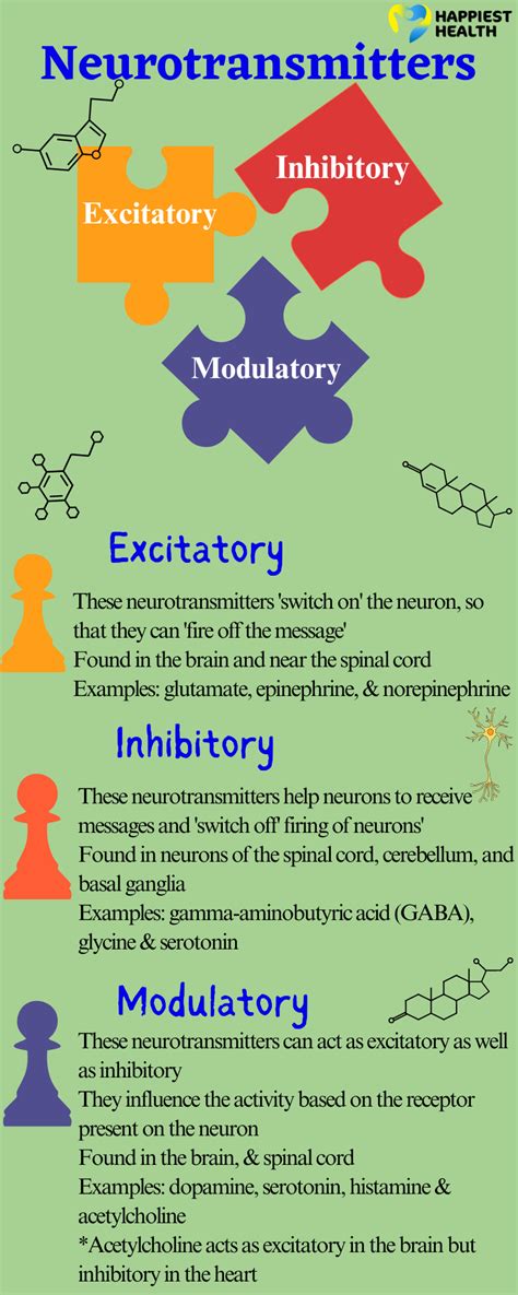 The Fascinating Symphony Of Neurotransmitters Happiest Health