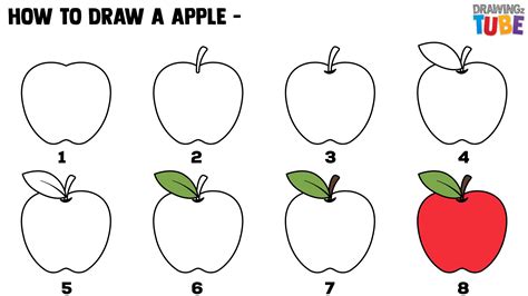 How To Draw An Apple Step By Step Aesthetic Drawing