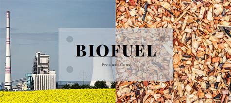 Biofuels Pros And Cons Science Trends