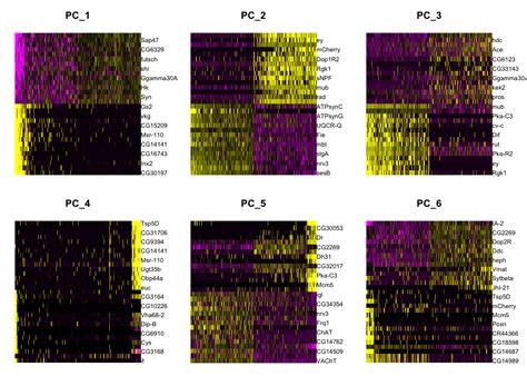 Lab 8 Single Cell Rna Seq Genomics With R For Biologists