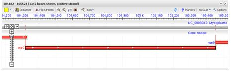ncbi sequence viewerの使い方