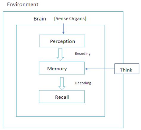 Overall Flow Of Encoding And Decoding Of Thoughts In Memory Download