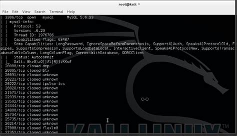 uniscan webserver fingerprinting tutorial in kali linux