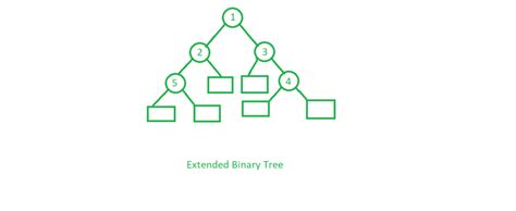 extended binary tree geeksforgeeks
