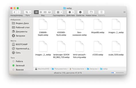 mac os 1111
