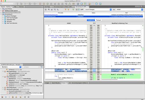 hacking the netbeans ide 5 overview for making a combined local history